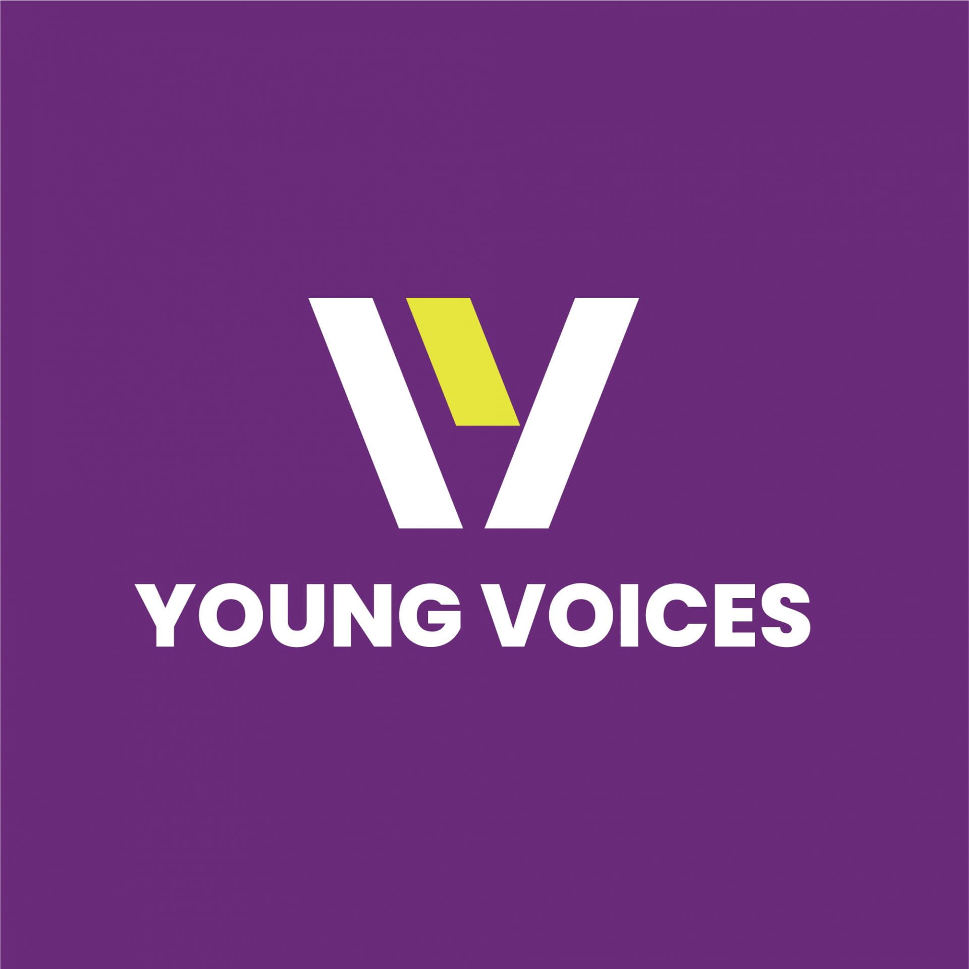 Young Voices – The Feinstein Institute for Public Service at Providence ...